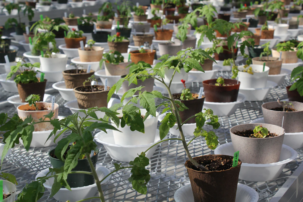 Green Dot Bioplastics Releases Bio-Based Planting Pots | Manufacturing.net