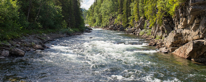Microplastics Overlooked in River Ecosystems, 50 Percent of Freshwater ...