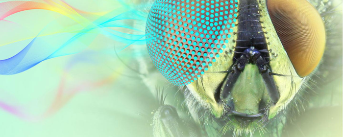 Researchers 3D Print Metamaterials With Novel Optical Properties ...